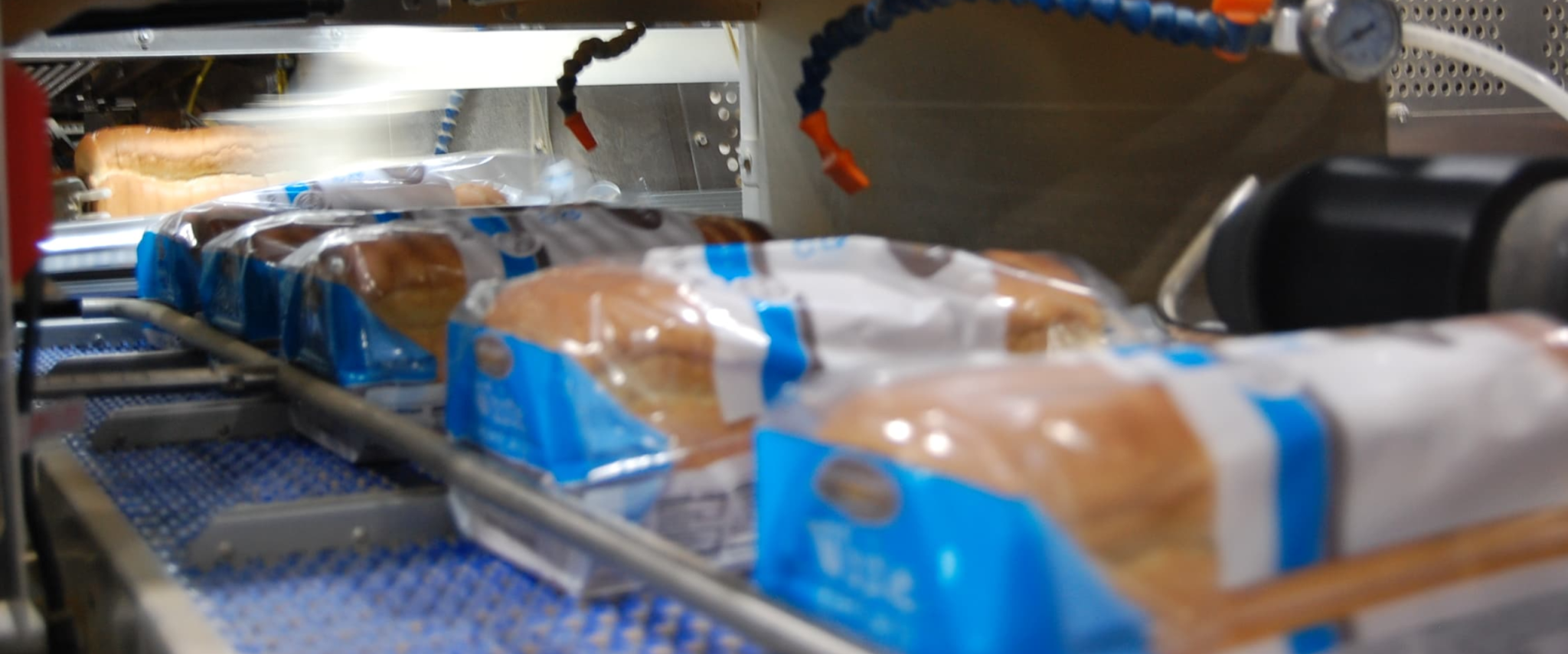 All-in-One Food Machine Solutions | LS Smart Machinery - Home - LS ...